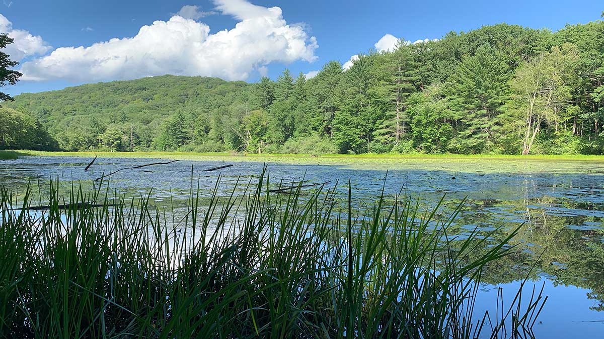 Mill Pond Trail - Walpole, NH- NH Vacation Ideas