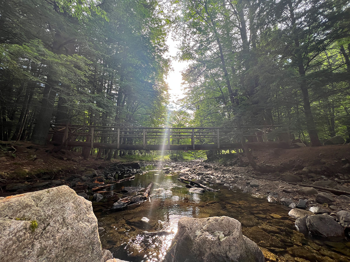 Mink Brook Nature Preserve Trails - NH Vacation Ideas